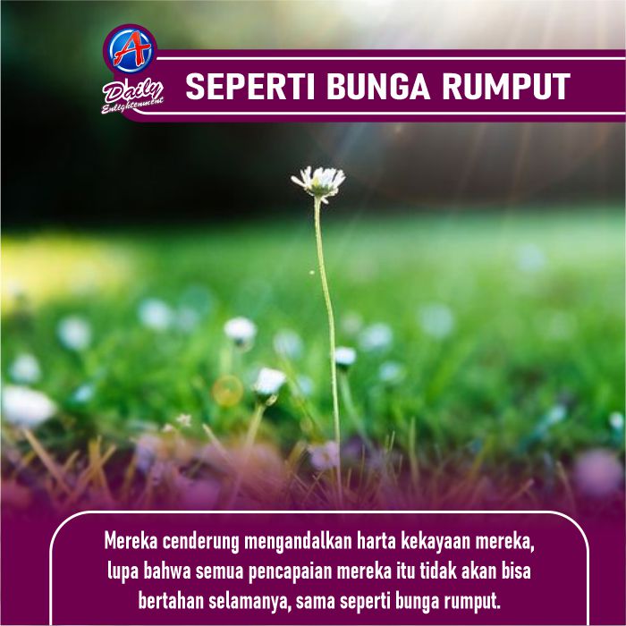 SEPERTI BUNGA RUMPUT - SUARAAKURAT.ORG